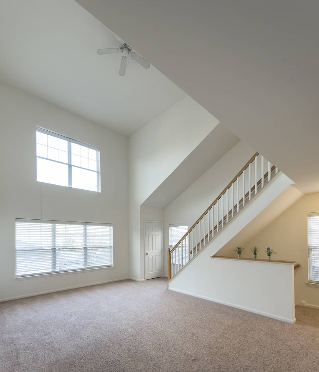 Photos and Tours of 14 North | North Shore