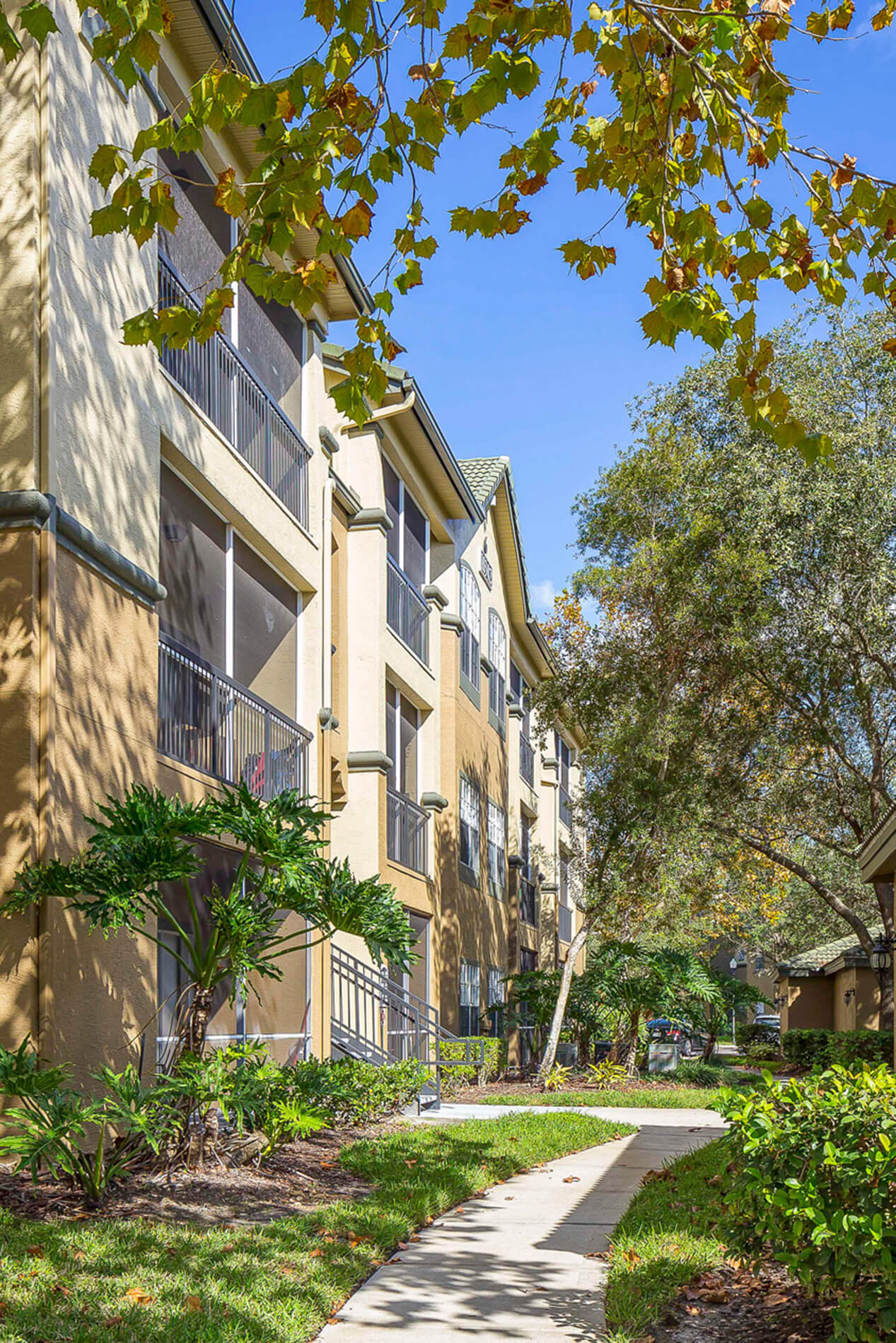 Photos and Tours of Andover Place at Cross Creek | New Tampa