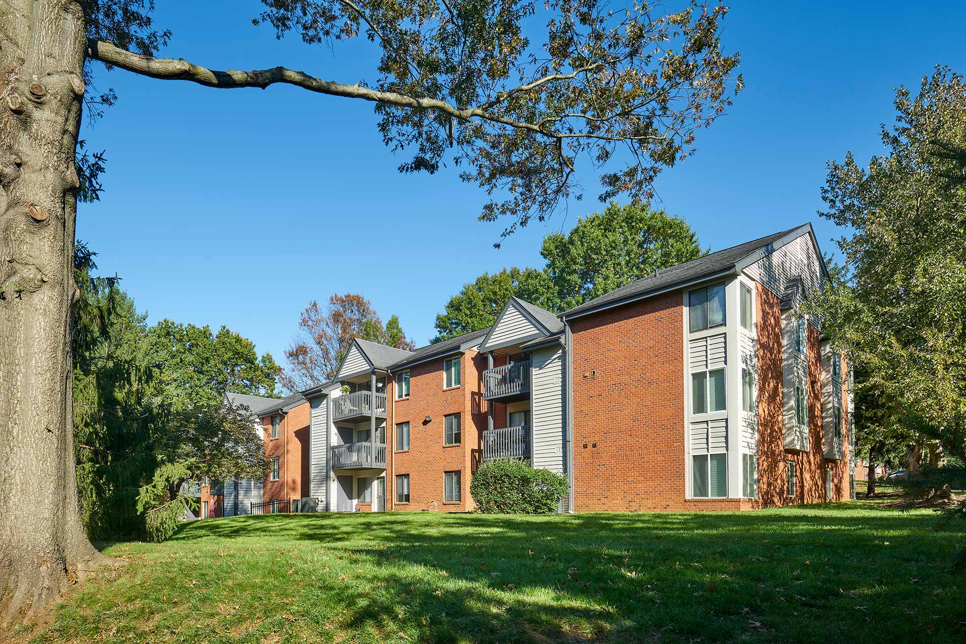 Airbnb at Calvert's Walk | Towson