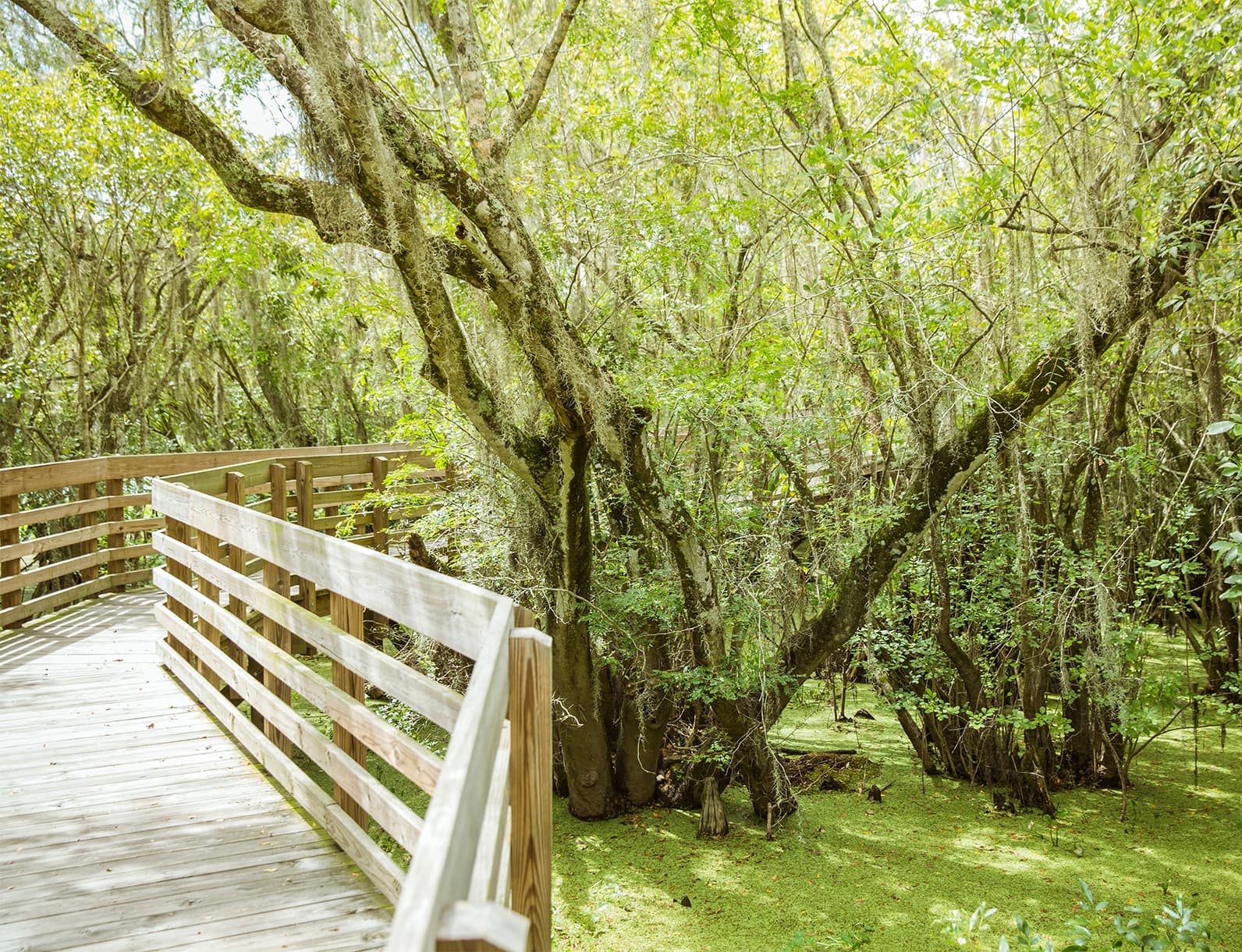 Neighborhood Info & Location of Peridot Palms | St. Petersburg